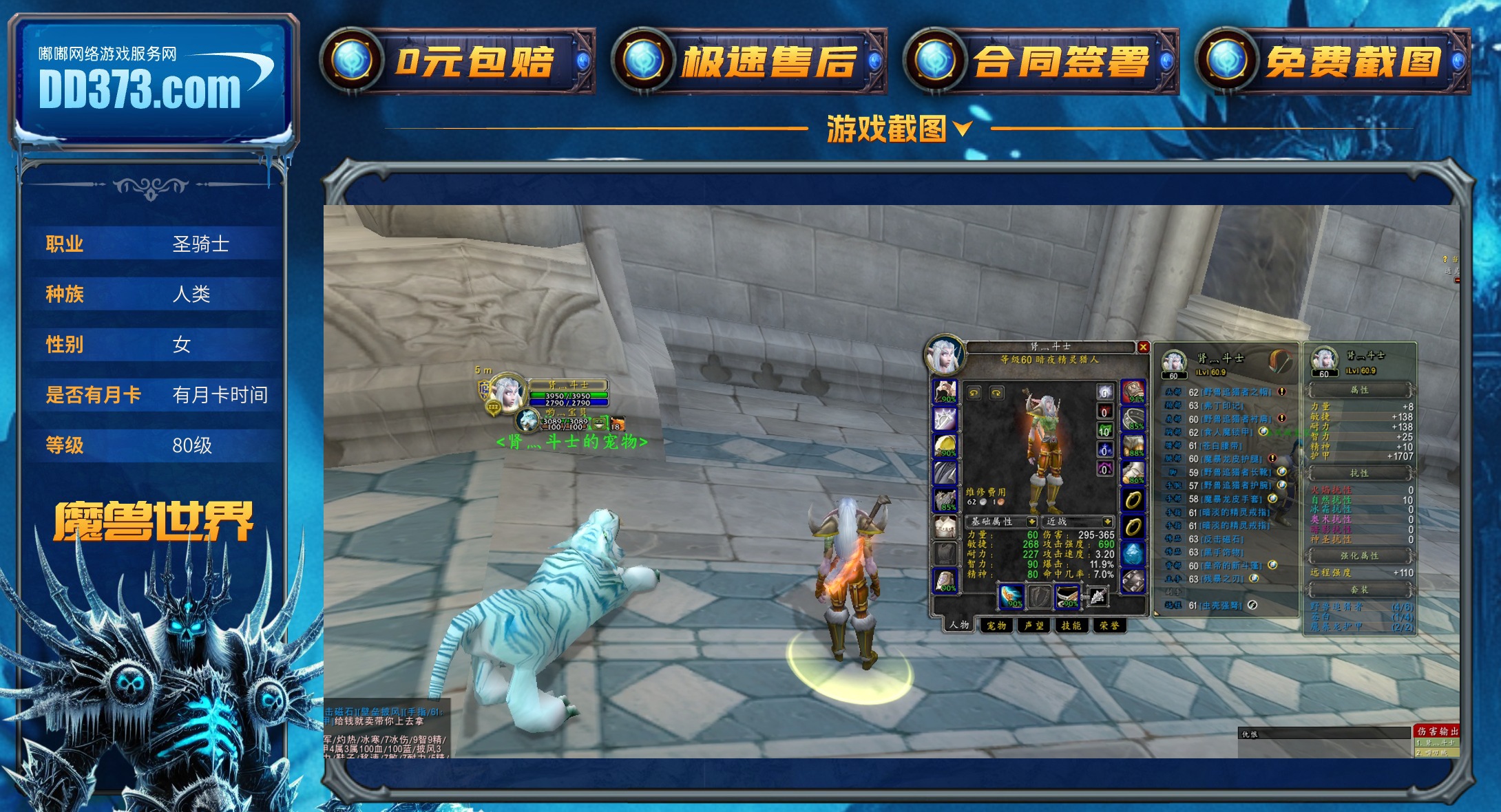 4T9 243惩戒骑（彗星） 4T9 240风剑DK 243盗贼（满软破）全工程 祖格龙、虎、美酒科多兽、羊、乌龟、DK马、爱情火箭、 送无情60暗夜精灵猎人-ZH20250205142503 ...